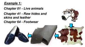 The Fundamentals of HS classification