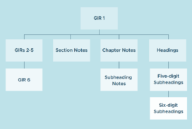 The Fundamentals of HS classification
