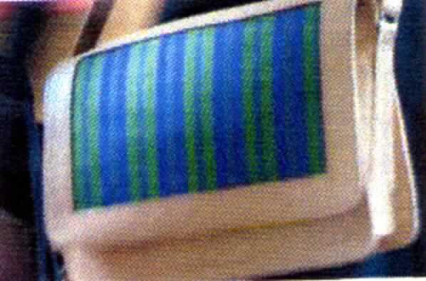 HS classification for “Bags” with bags image tables.